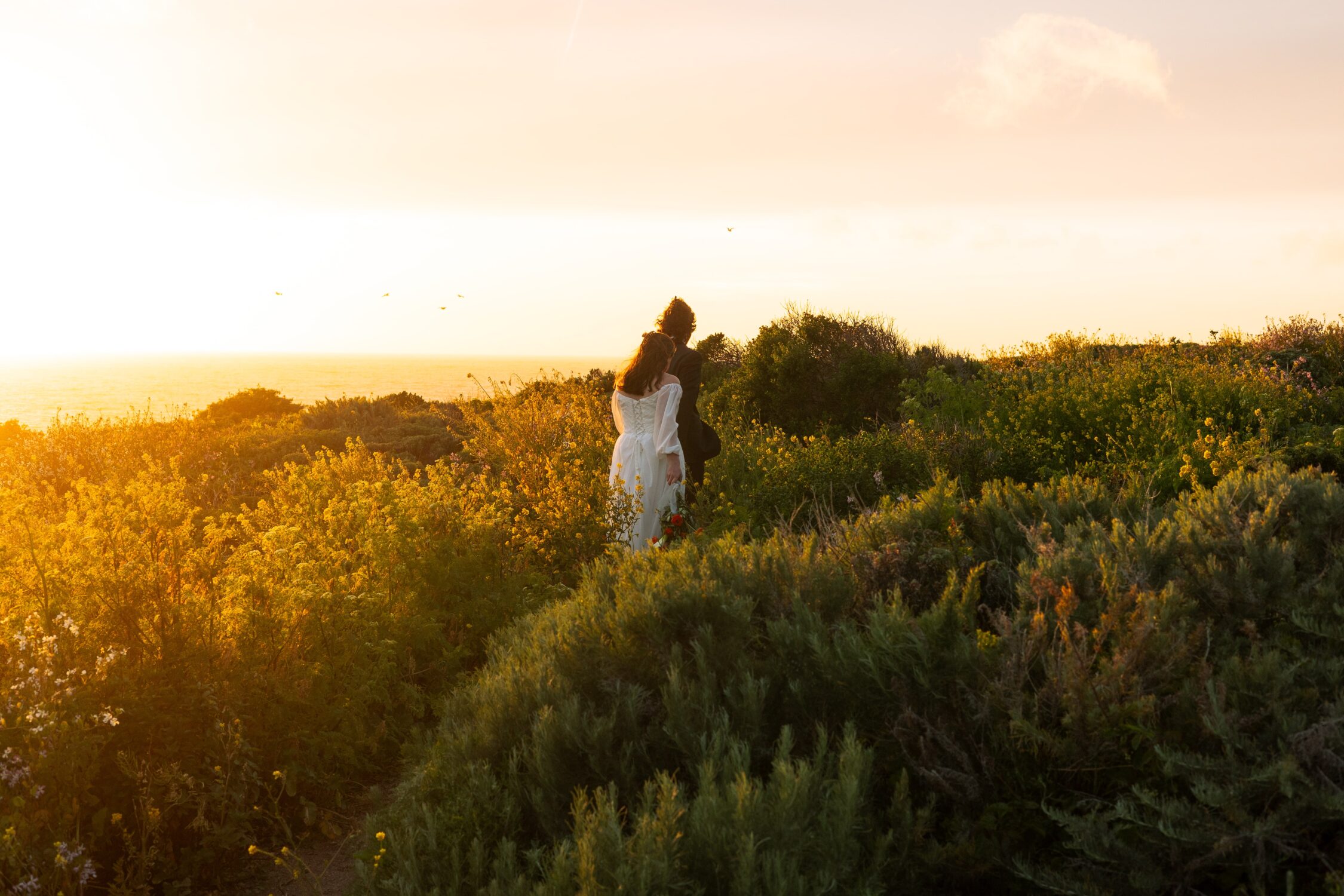 The Complete Big Sur Elopement Guide for 2025 - https://nicoleleniakiser.com